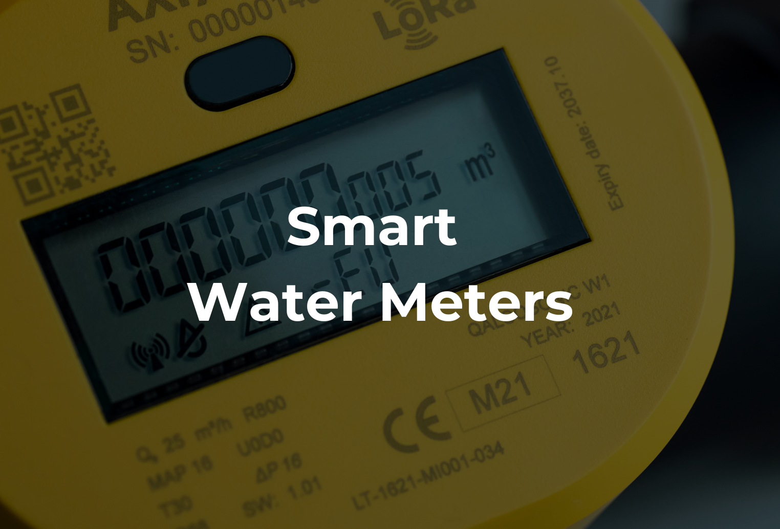 Smart Water Meters. What are they?